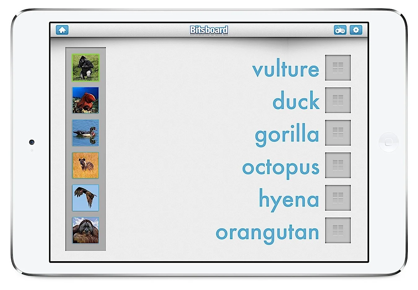 Bitsboard | Flashcards & Mini-Games for Personalized Learning