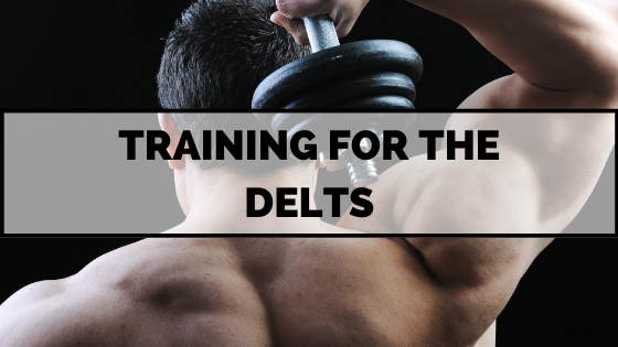 Developing The Delts