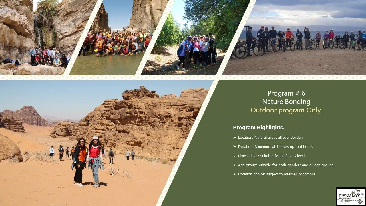 Team Building & Training Programs — Dynamix in Jordan