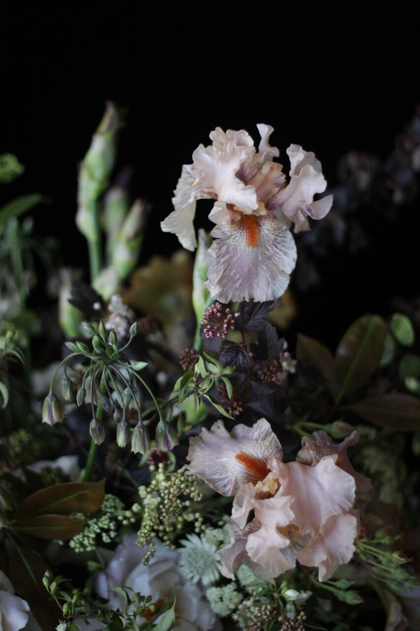 MAY IRIS STUDY: floral arranging, painting, and general revelry ...