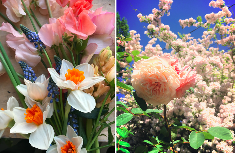 SOLD OUT SPRING RIOT: BROOKLYN, APRIL 22, 2018 — FLOWERING WITH NICOLETTE