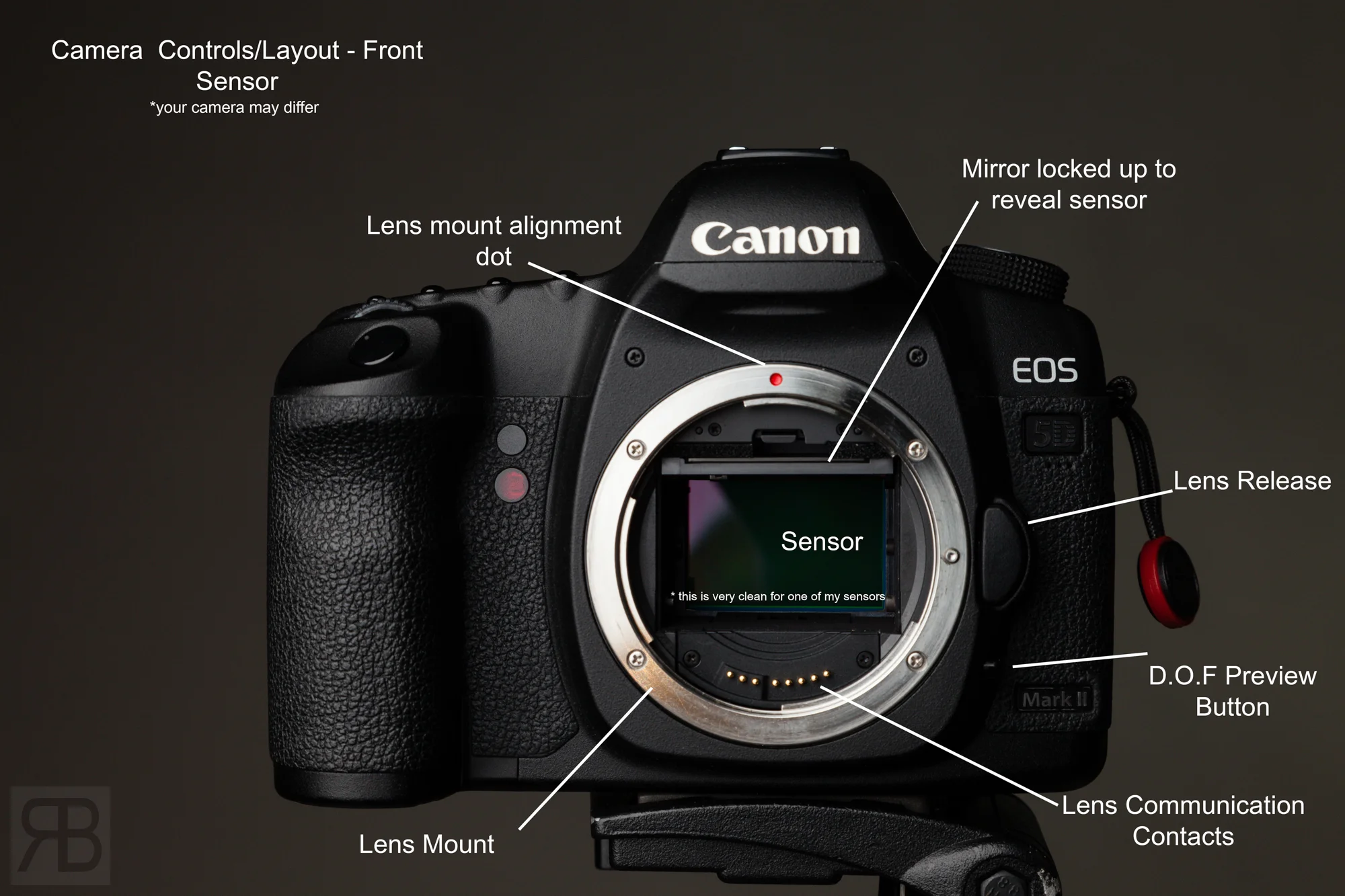 Getting Started In Photography - Camera Controls & Layout - A Primer ...