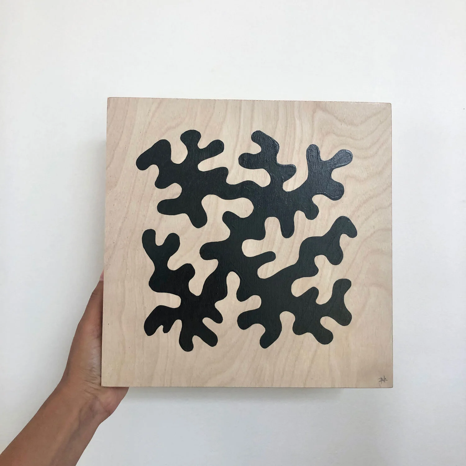 Studio Work — NNUZZO