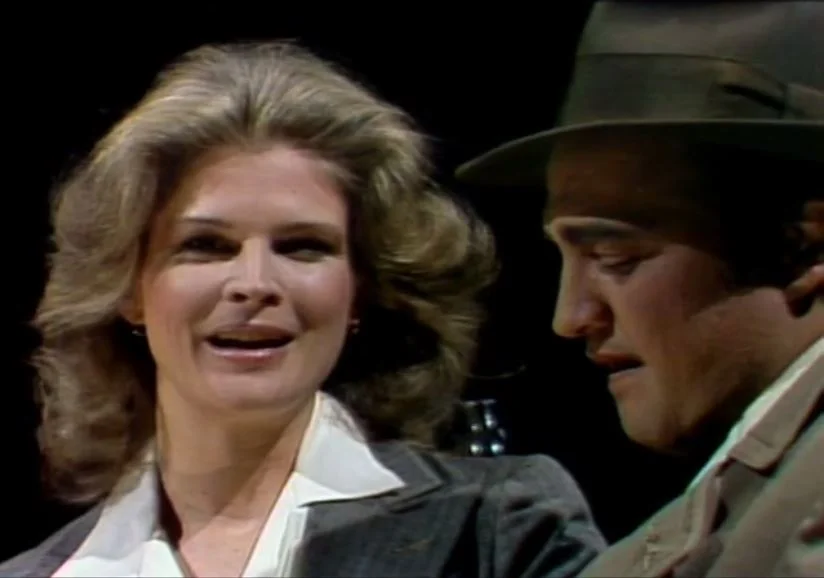 Attack Of The Killer Bees Snl