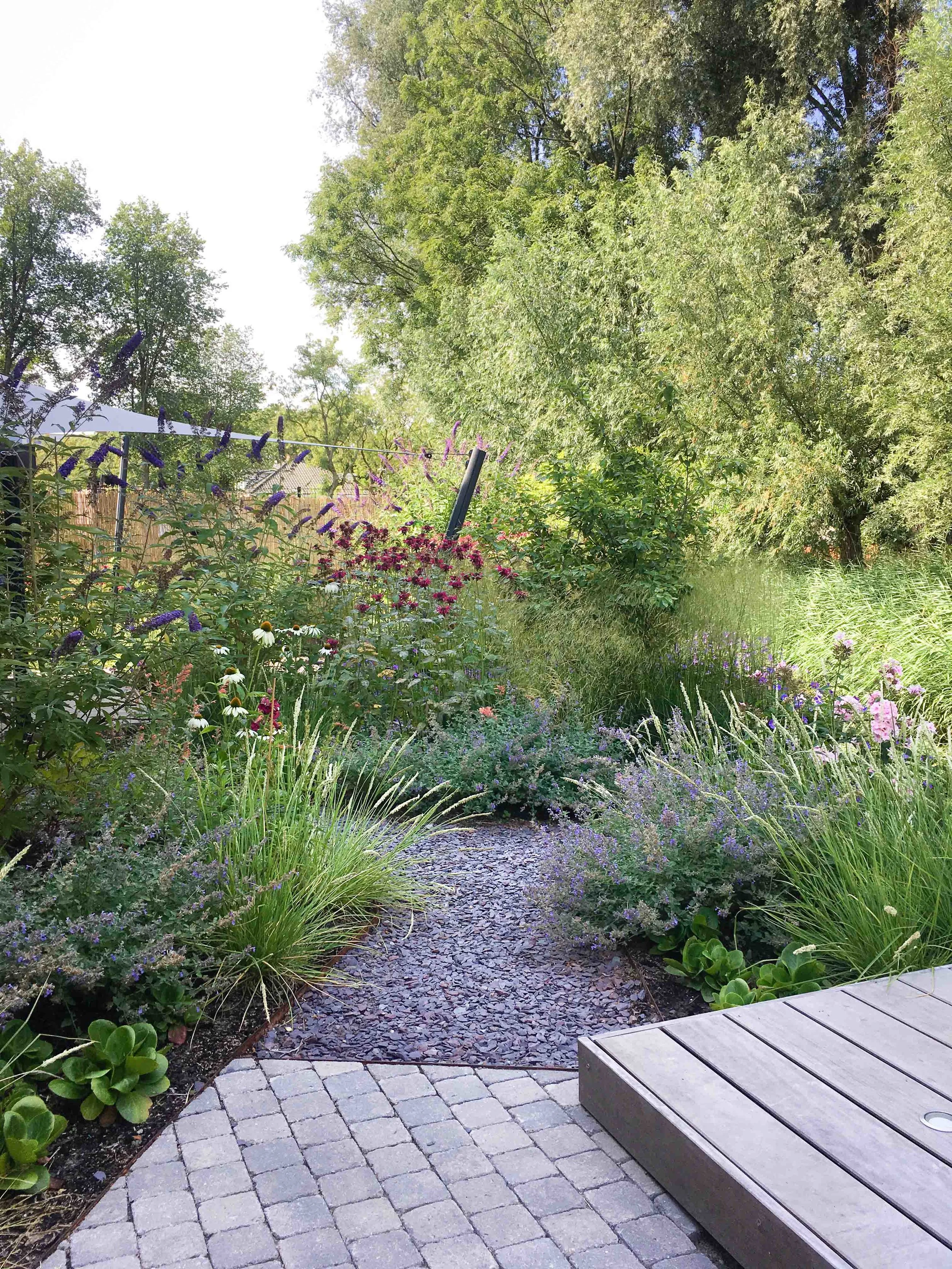 wilde tuin Amsterdam — Tuinontwerp of tuinarchitect? Wij ontwerpen ...