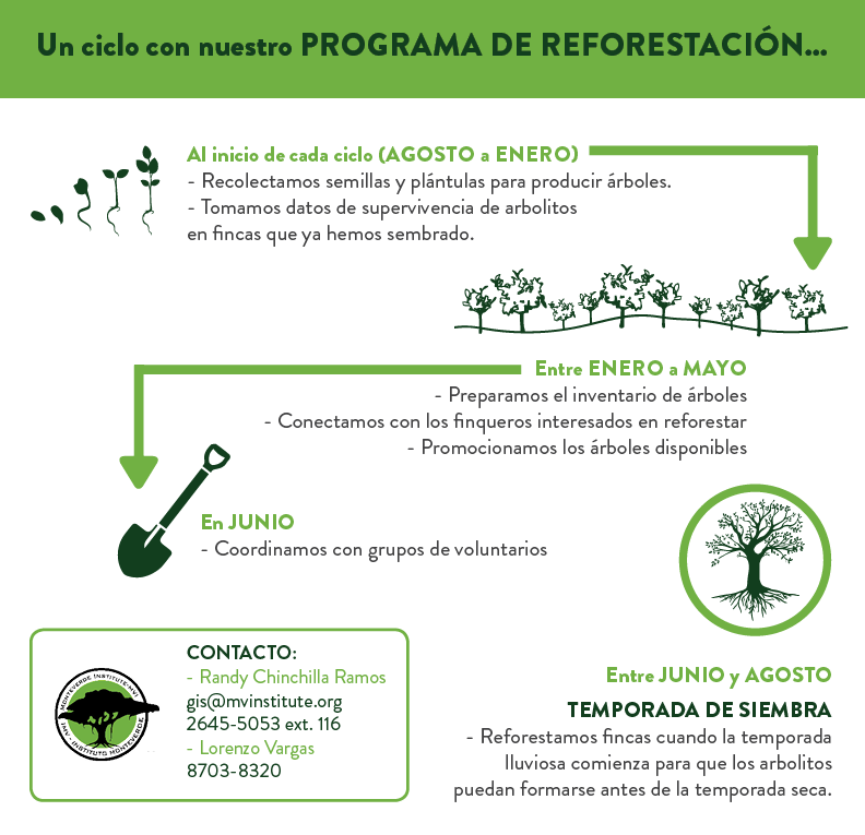 El Programa de Reforestación del Instituto Monteverde — Monteverde ...