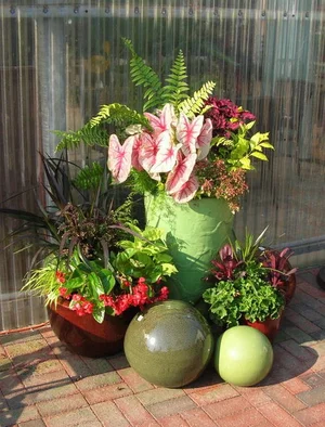 Easy Container Gardening