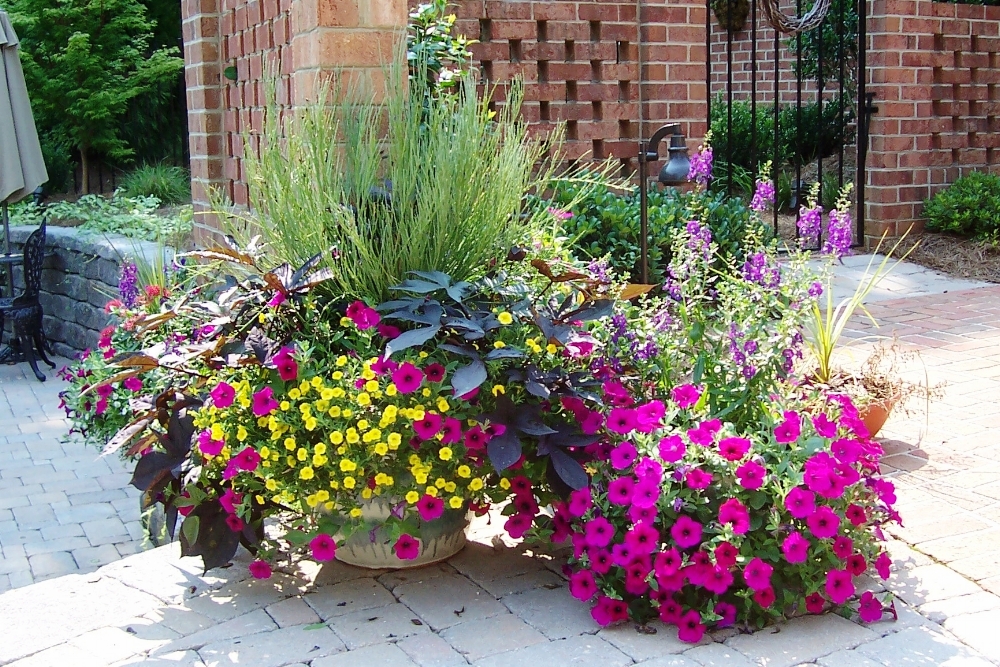 Enhancement Services