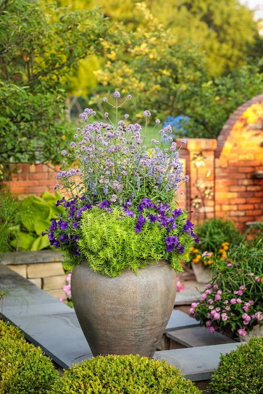 Easy Container Gardening