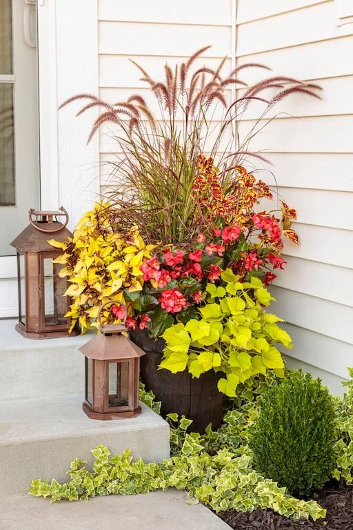 Easy Container Gardening