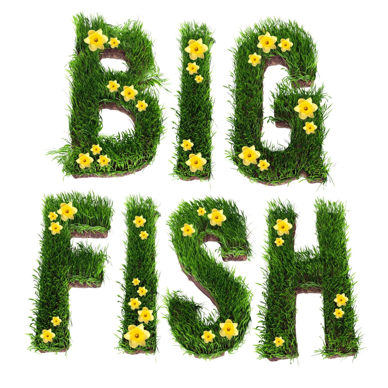 Big Fish — Musical Theatre Productions | London, Ontario