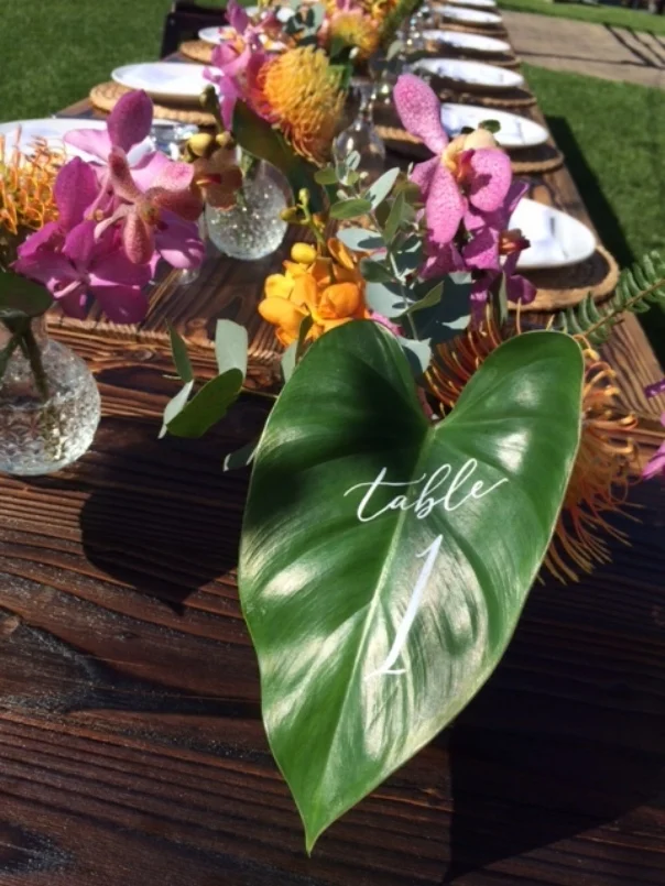 Tropical Leaves — Miss B. Calligraphy