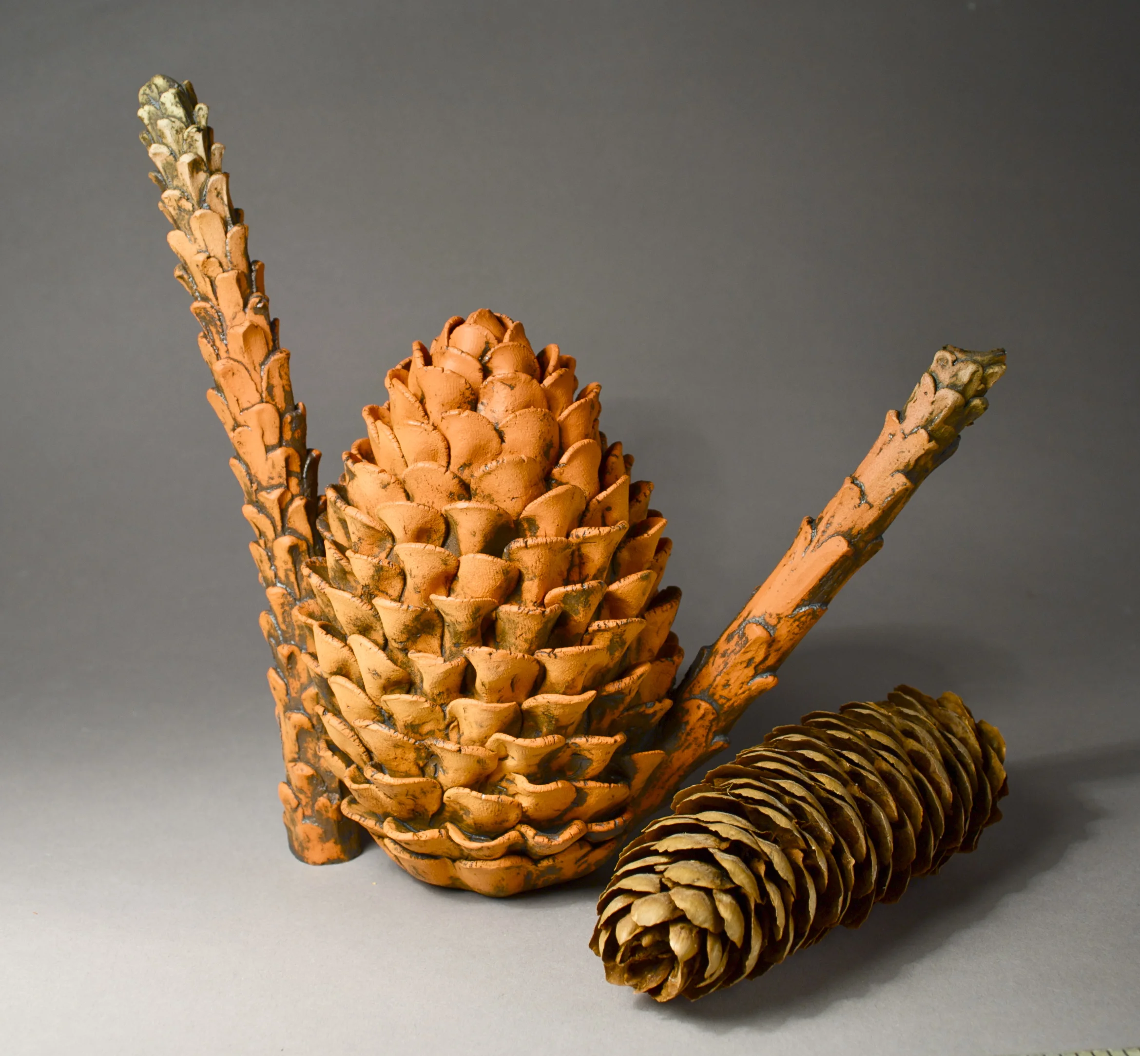 Teapot Gallery — Alice Ballard
