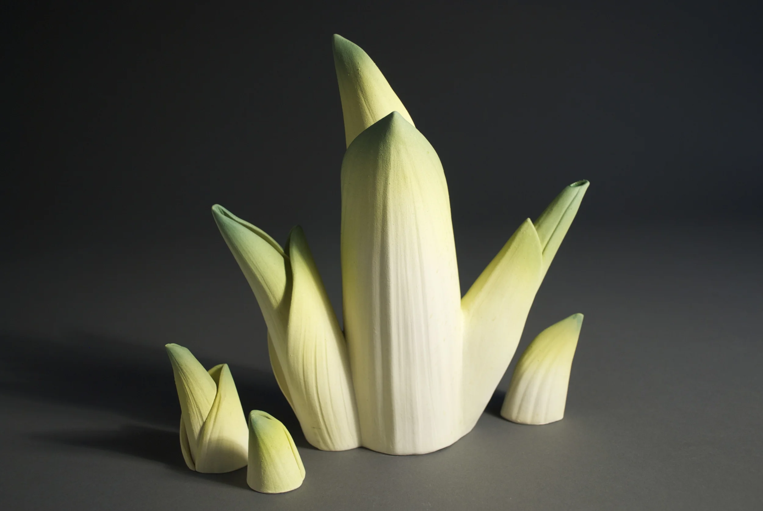 Teapot Gallery — Alice Ballard