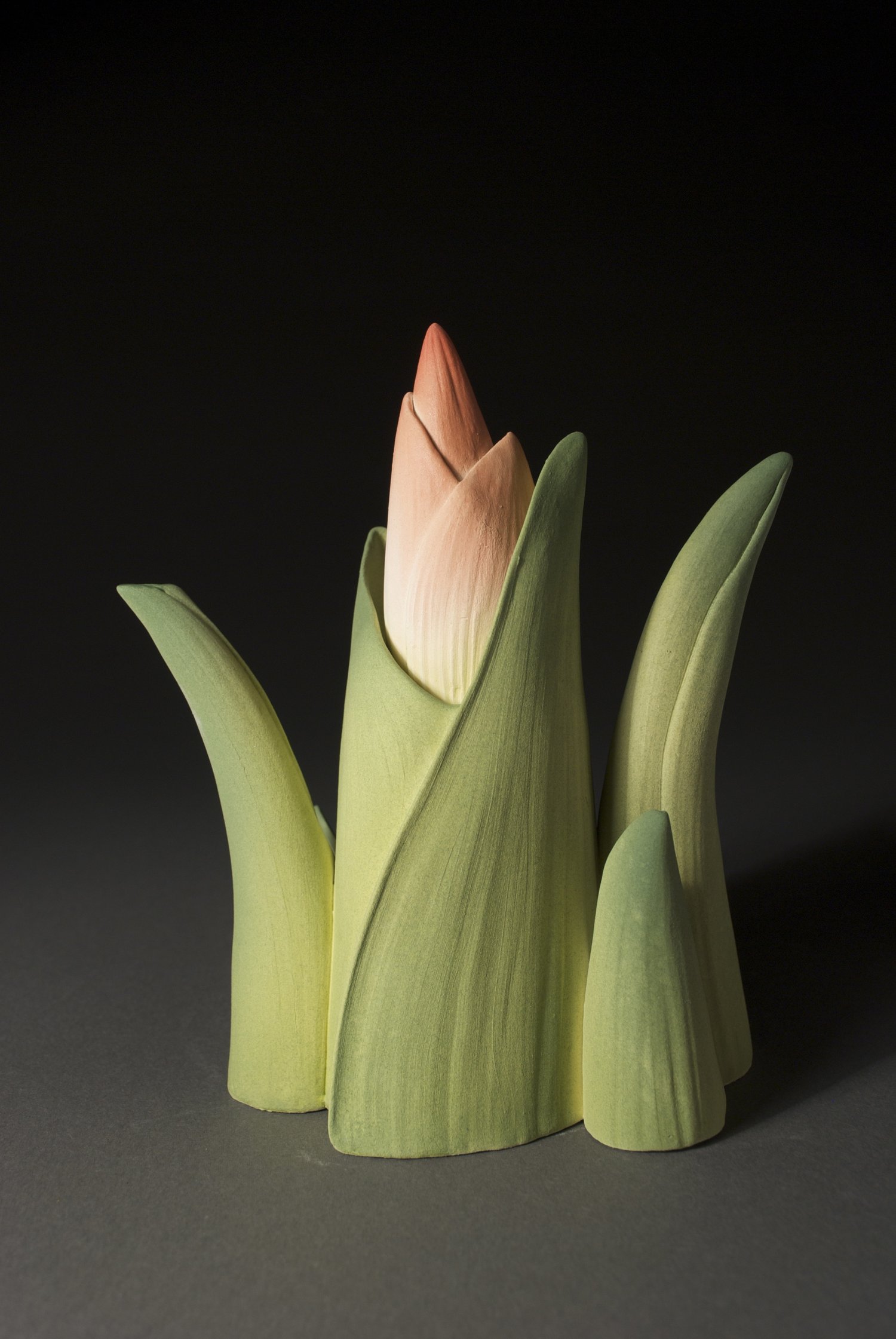 Teapot Gallery — Alice Ballard