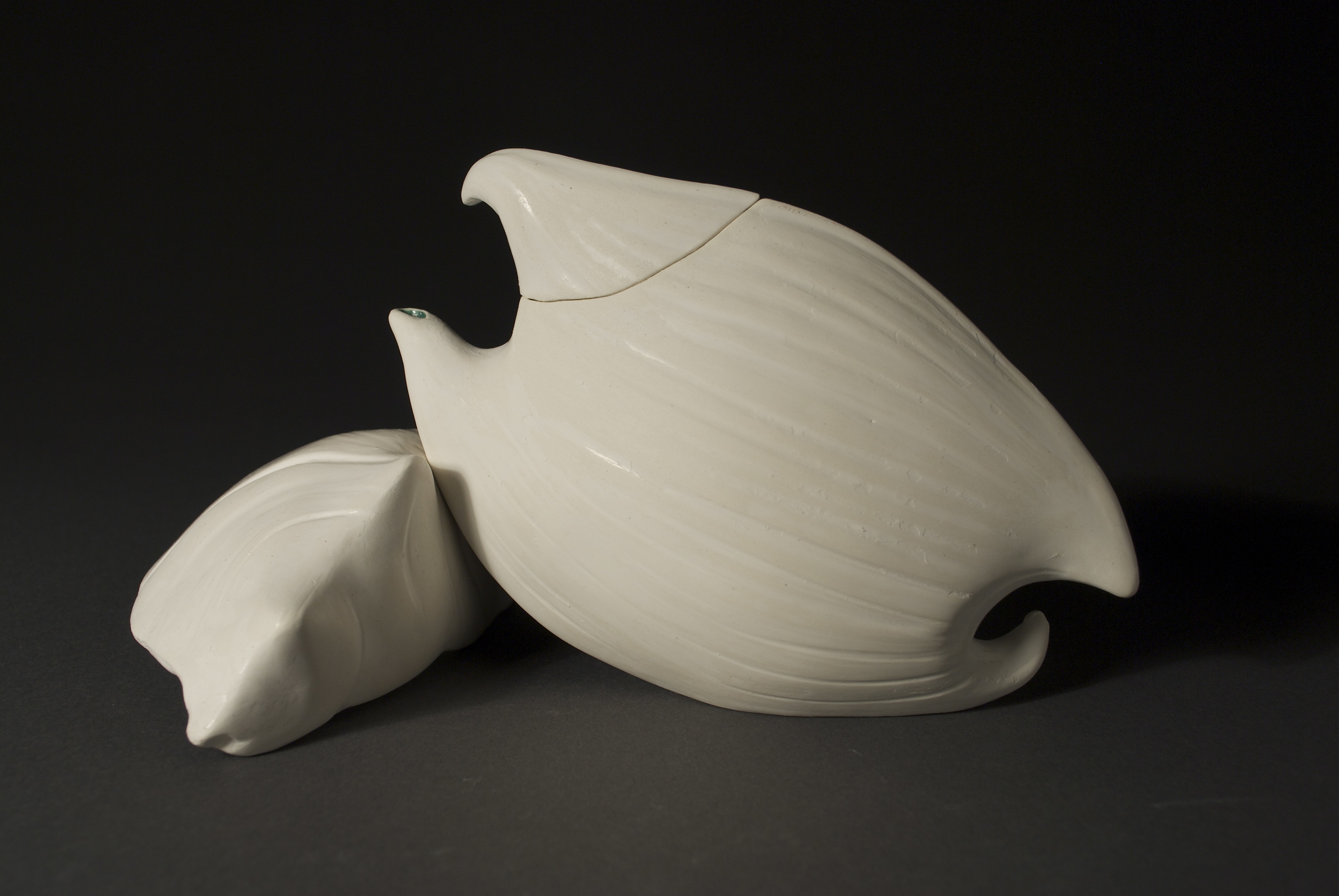 Teapot Gallery — Alice Ballard