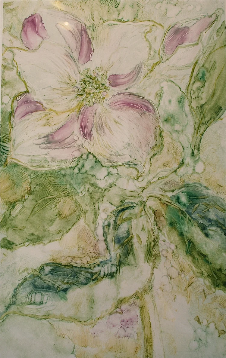 2D Gallery — Alice Ballard