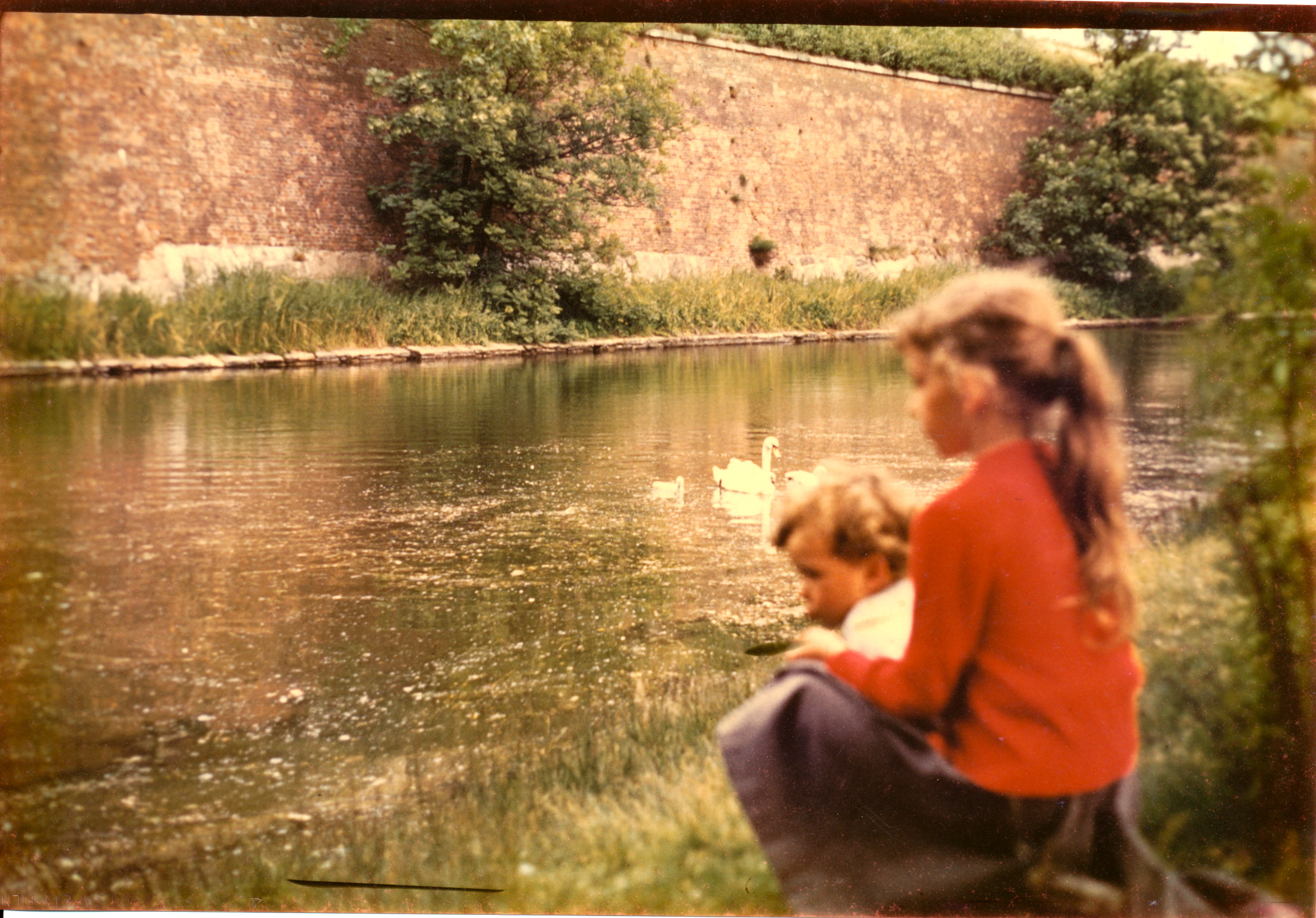 About Alice — Alice Ballard