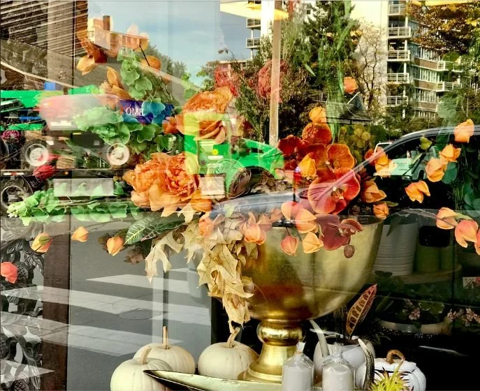 Window Licking Fun in Victoria, British Columbia! — Everyday Tourist