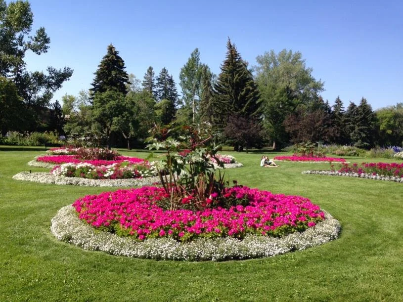 Calgary has more history than you think! — Everyday Tourist