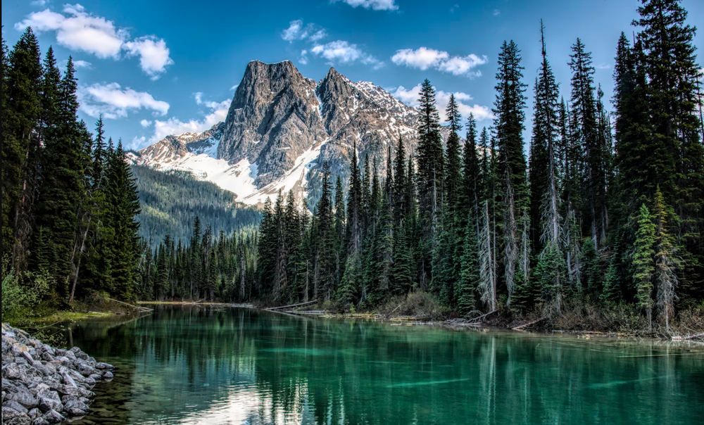 The Great White North: A Traveler's Guide to Canada's Vast Landscapes ...