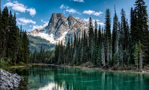 The Great White North: A Traveler's Guide to Canada's Vast Landscapes ...