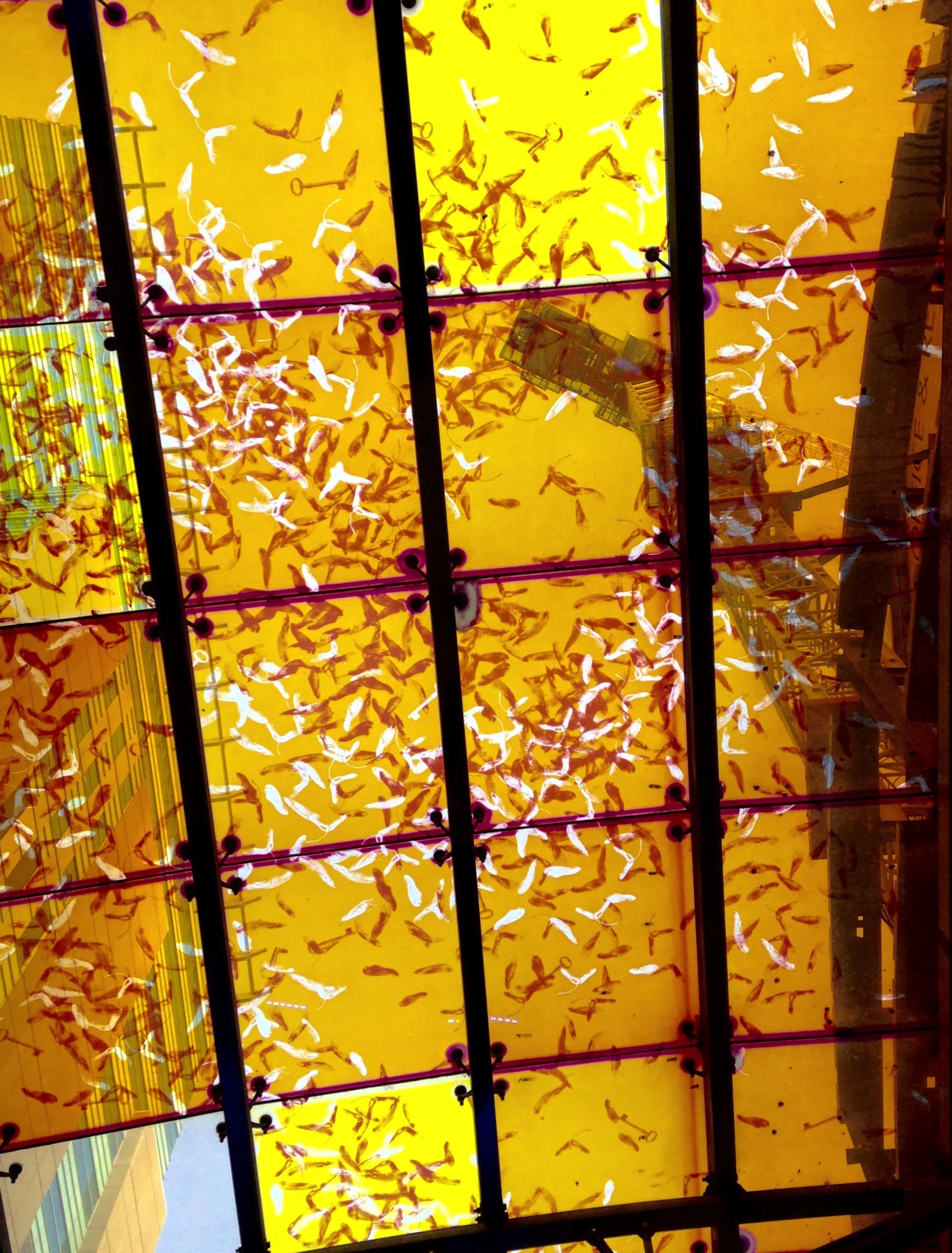 Downtown Calgary: "Looking Up" Tour! — Everyday Tourist