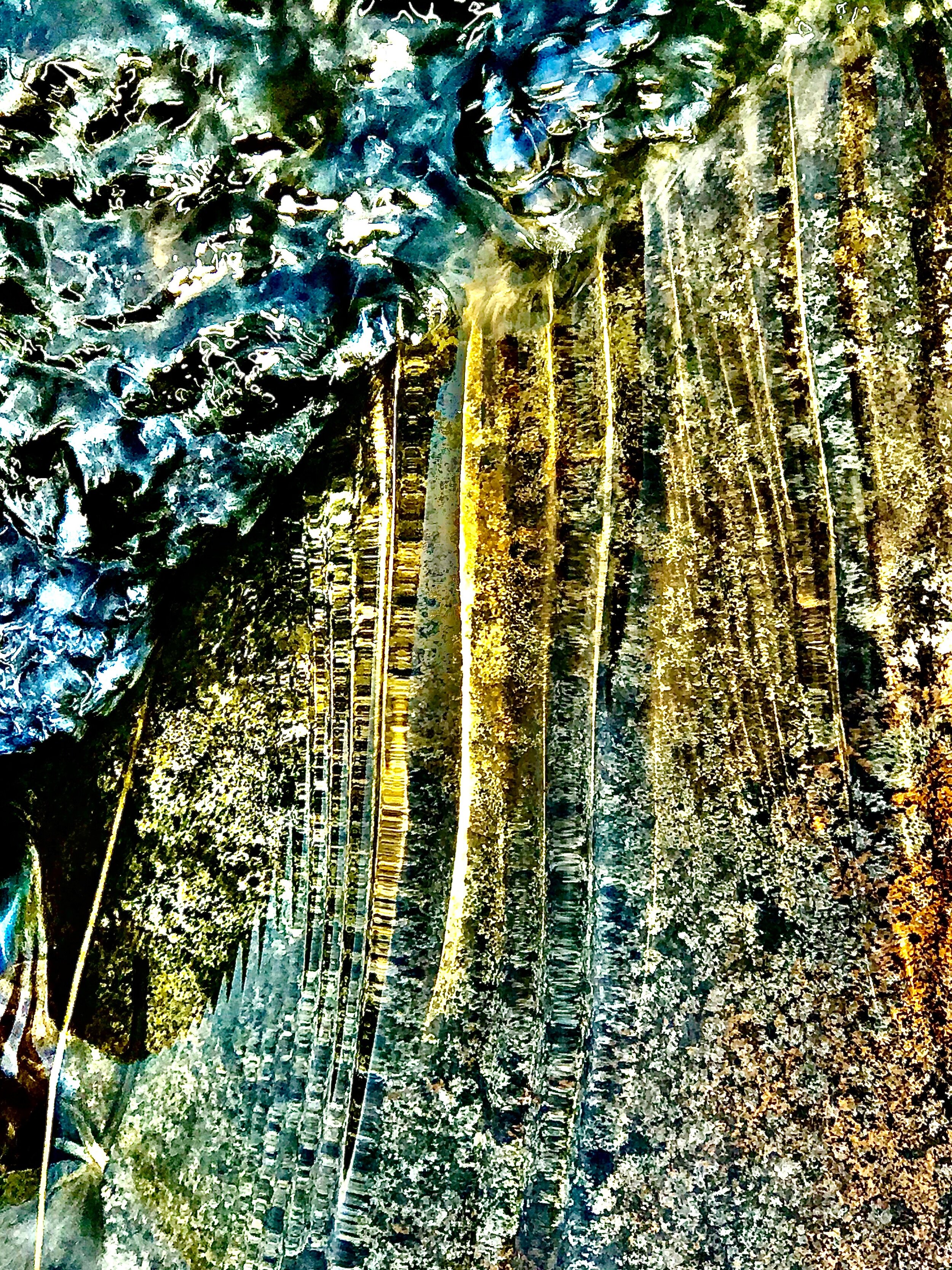 Redwood Meadows AB Surreal Reflections Art Photography — Everyday Tourist