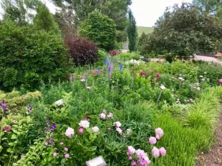 Calgary Gardens: CNIB Fragrant Garden Is A Hidden Oasis For Everyone ...