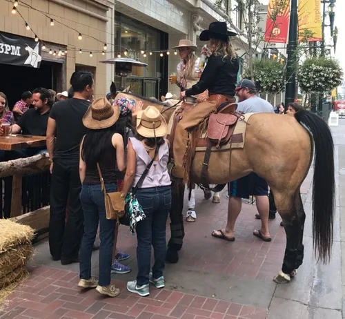 Stephen Avenue Walk: A Unique Sense Of Time & Place — Everyday Tourist