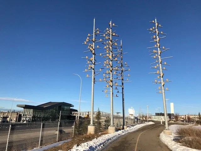 Calgary Light Rapid Transit Station Design Review — Everyday Tourist