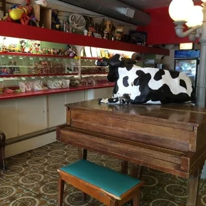 Calgary's Fun Ice Cream Culture — Everyday Tourist