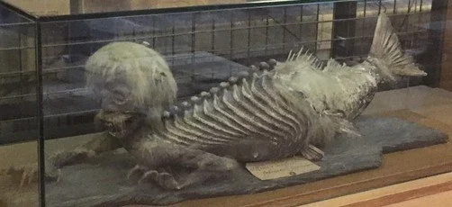 Banff: Merman Map of the World — Every Day Tourist