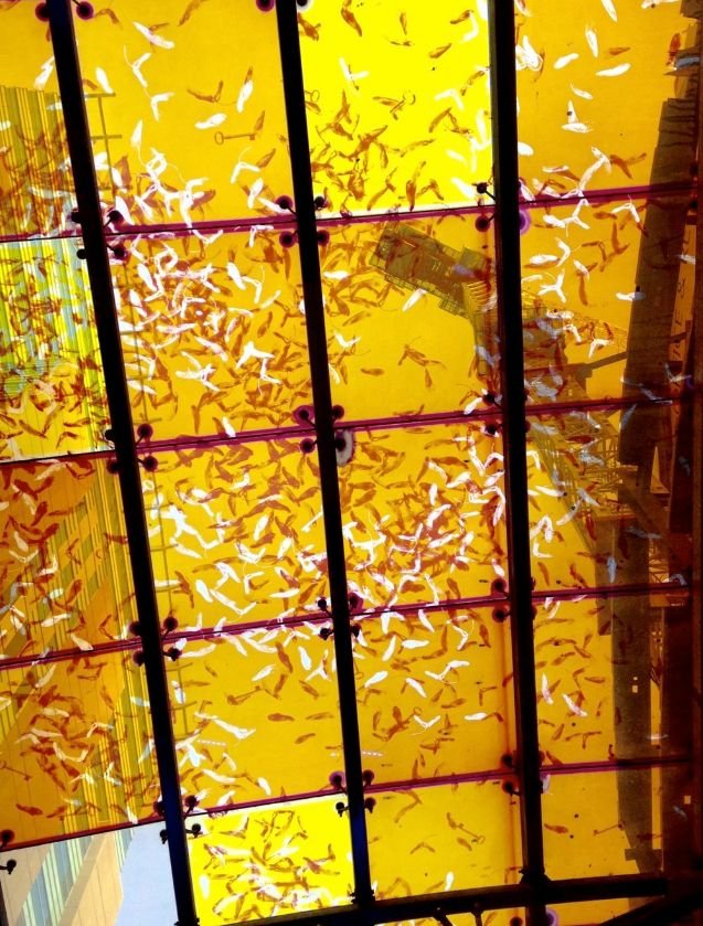 Calgary Hidden Gems: Dozens of public artworks hiding downtown ...