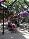 Stephen Avenue Walk: A Unique Sense Of Time & Place — Everyday Tourist