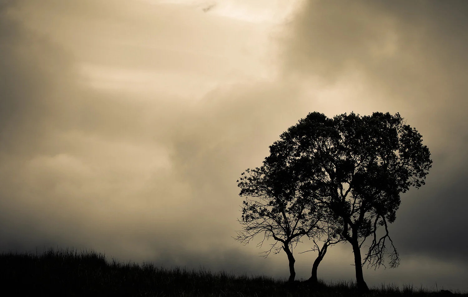 Photography of Ireland | Latest Irish Landscape photographs by Peter ...