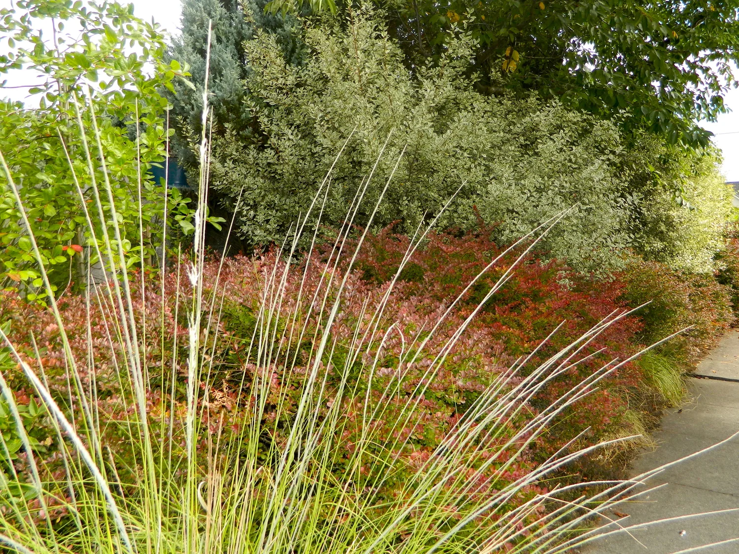 Services — Design With Nature