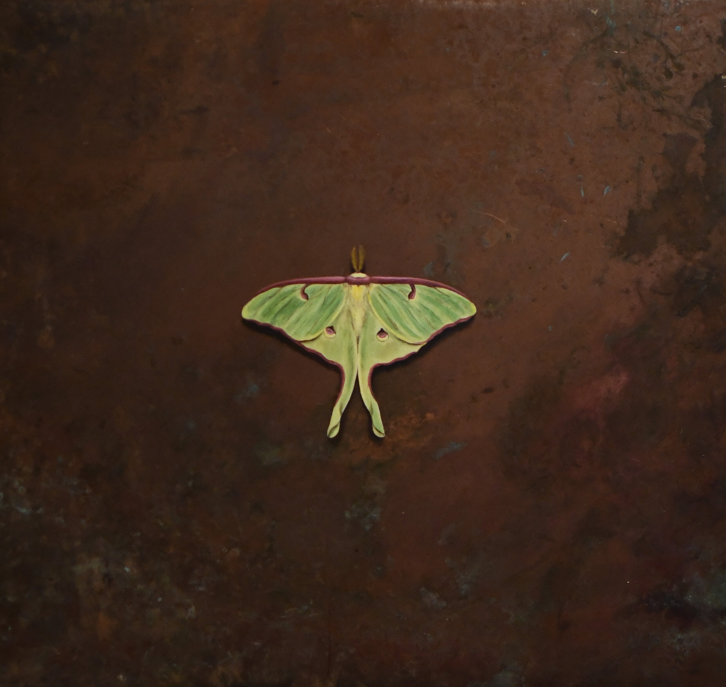 Michael Fitts — Haley Fine Art