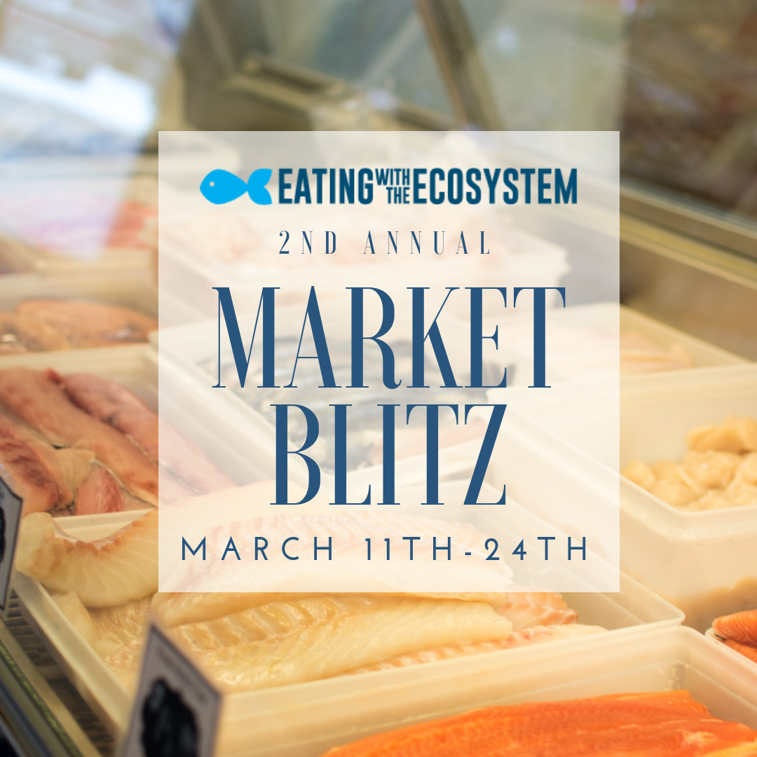 Market Blitz Pilot — Eating with the Ecosystem