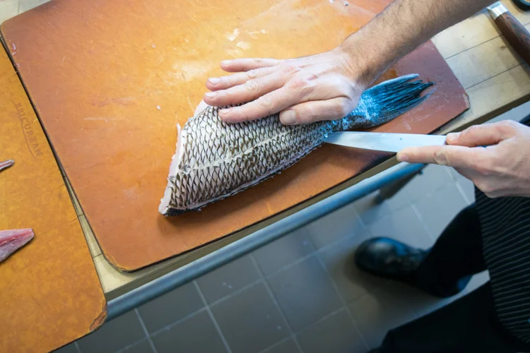How to Filet a Round Fish — Eating with the Ecosystem