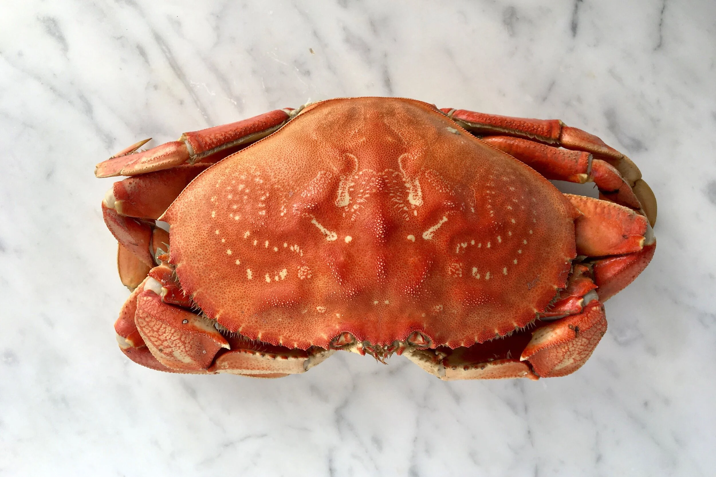 Crustacean Recipes — Eating with the Ecosystem