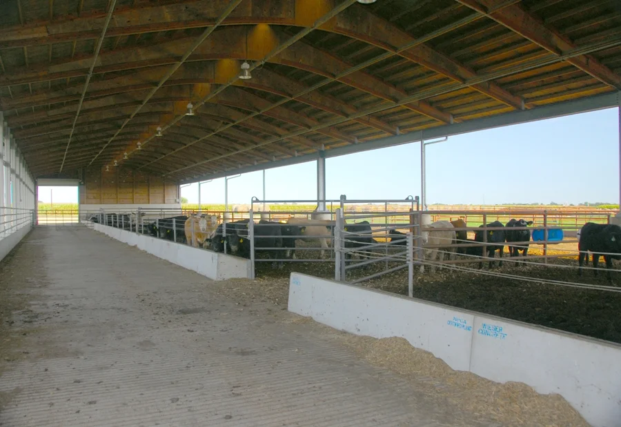 Maurer Stutz, Inc. — Agricultural - Waste Storage Facility Design