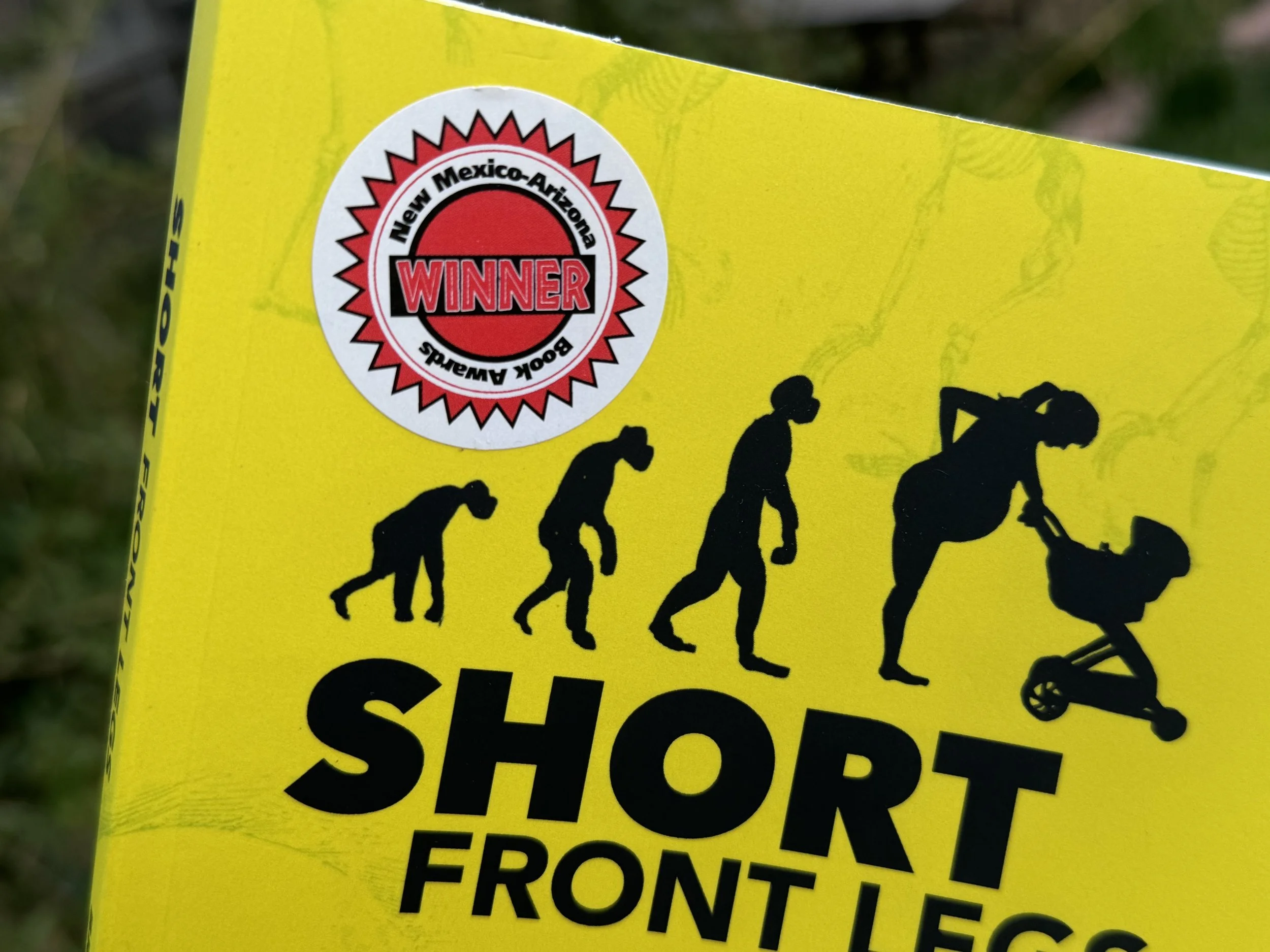 Blog — Brenda Fleming | New Mexico Art