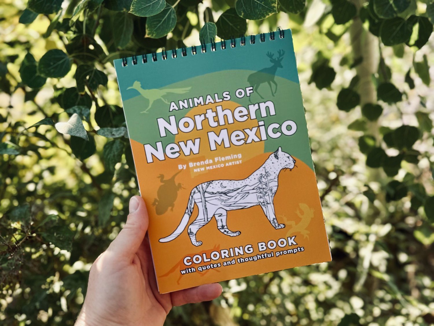 Blog — Brenda Fleming | New Mexico Art