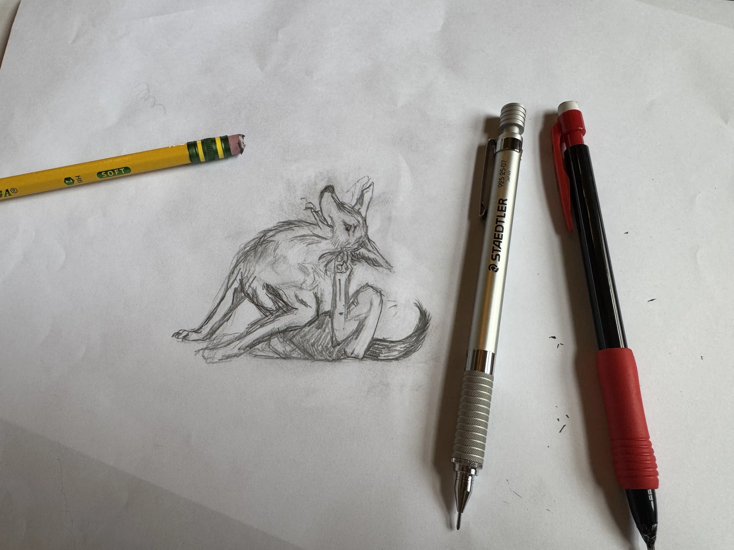 Brenda Fleming | New Mexico Art