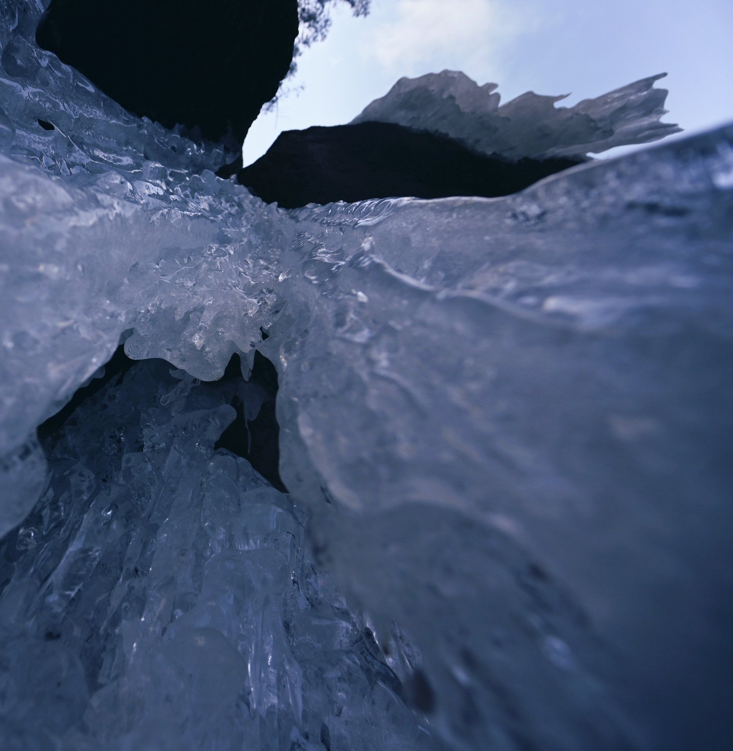 Brenda Fleming | New Mexico Art