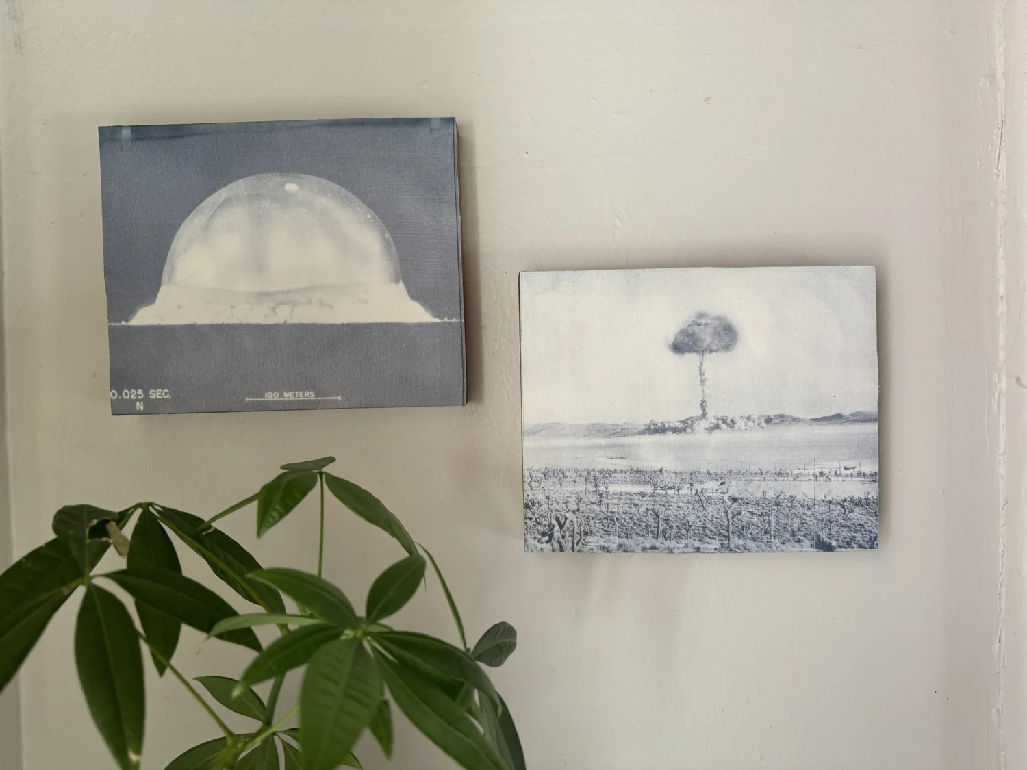 Brenda Fleming | New Mexico Art