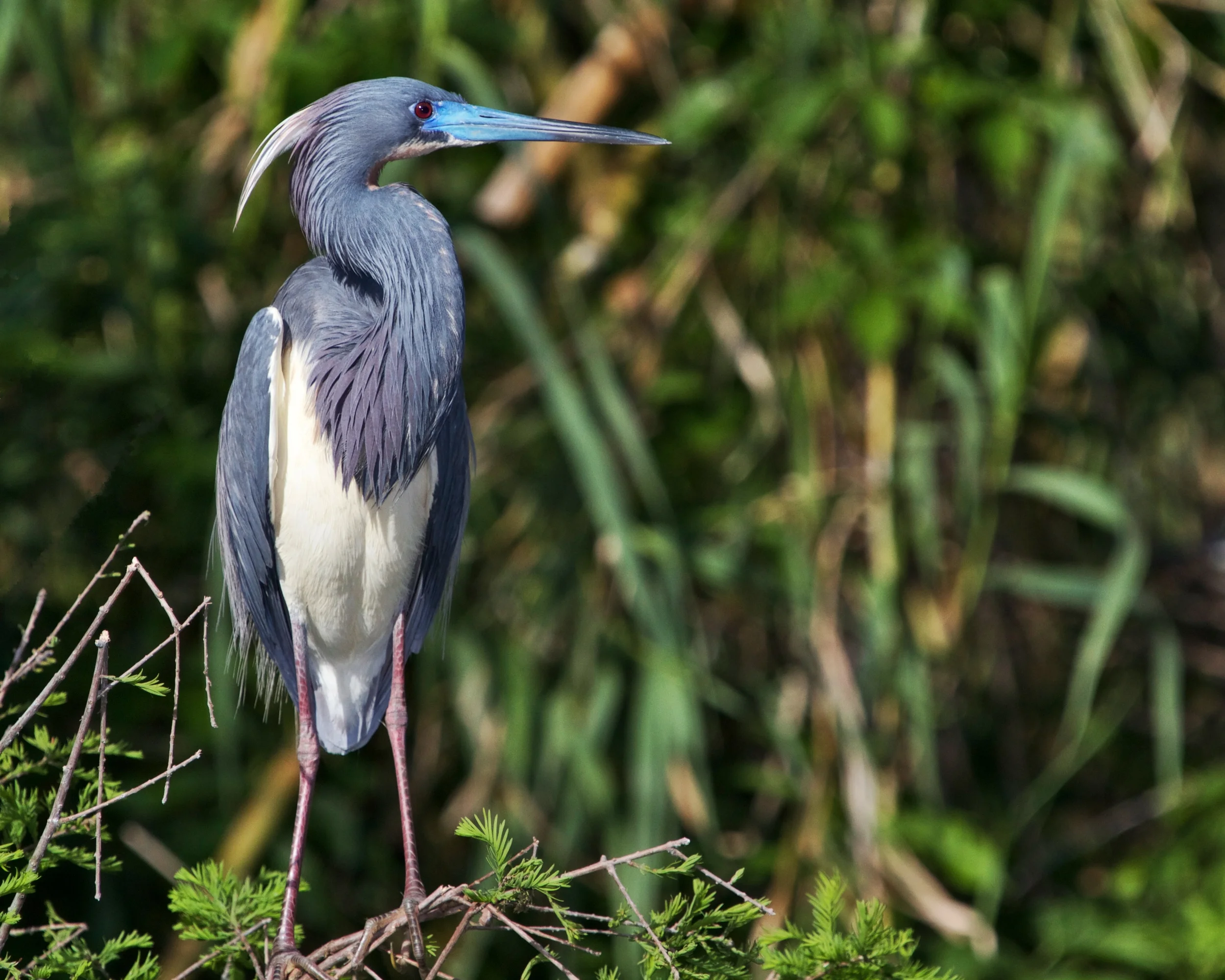 Blog- Apr 2014 — Reflections on Broward