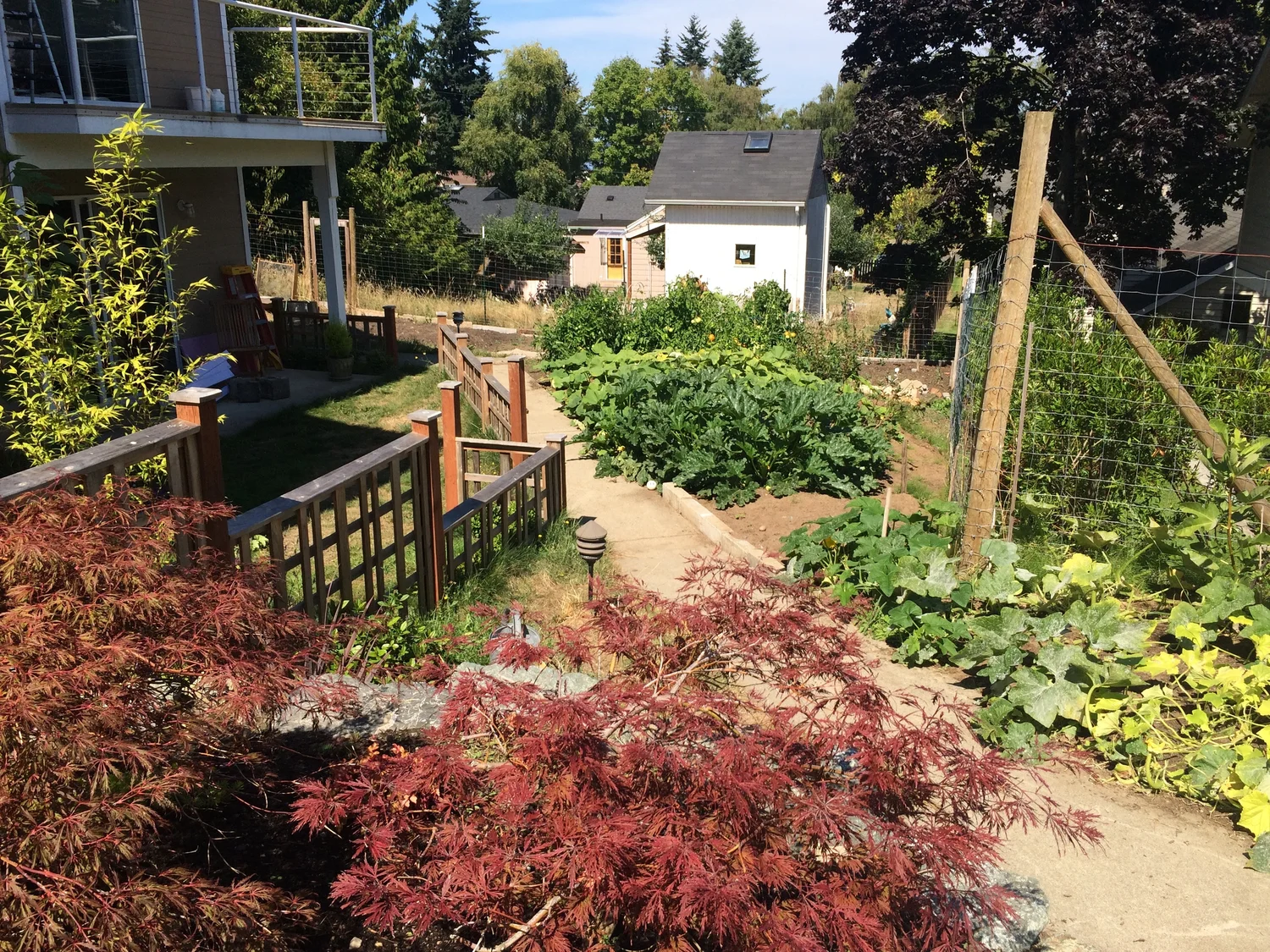 5th Street Commons: A Retrofit Cohousing Community — Schemata Workshop