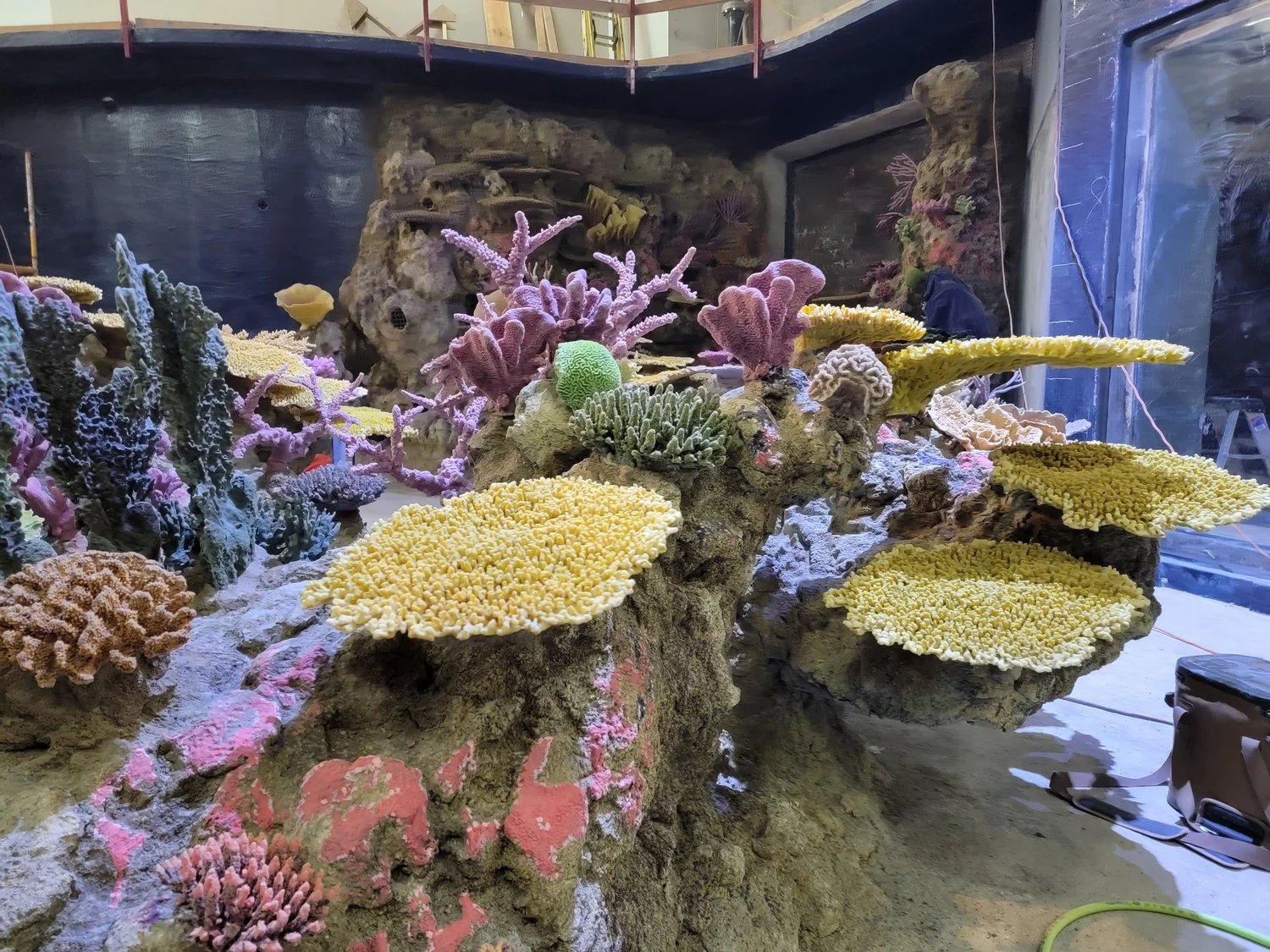 Point Defiance Zoo and Aquarium — Schemata Workshop